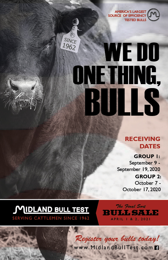 Forms - Midland Bull Test