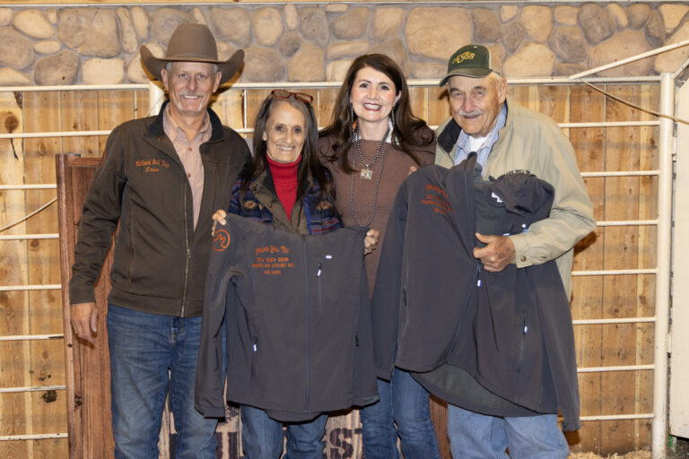 2024 Winners - Midland Bull Test